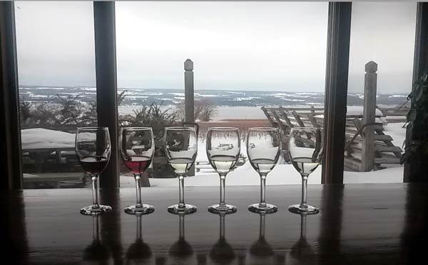 Tasting flight - Wagner Vineyards Estate Winery